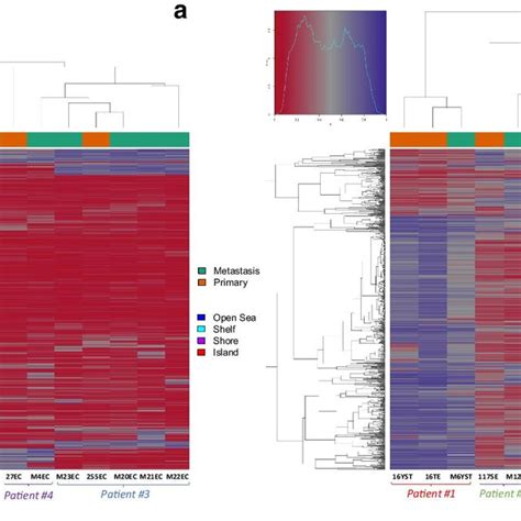 unsupervised hierarchical clustering of samples based on all