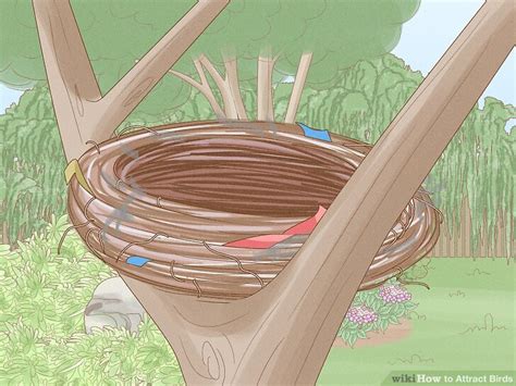 3 Ways To Attract Birds WikiHow