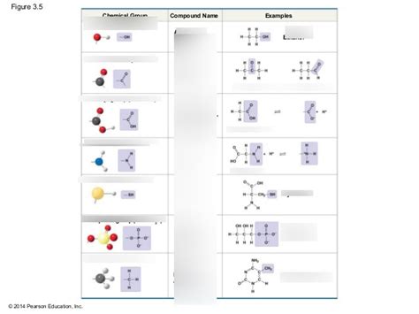 Functional Groups Diagram Quizlet