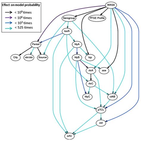 dependency model of multivariate data from strains bayesian network