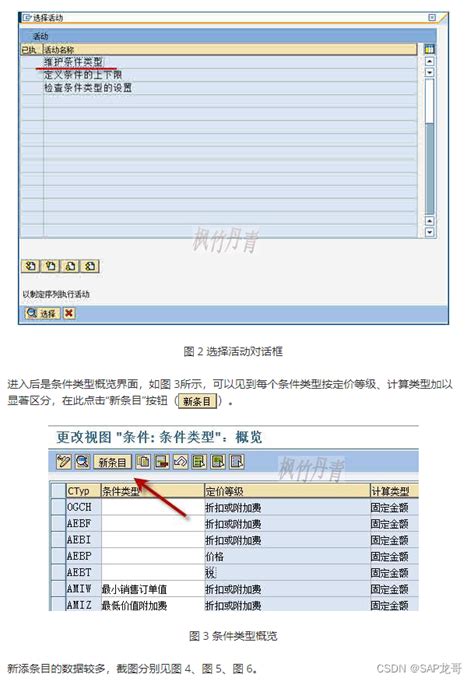 sap sd22 定义销售定价的条件类型 csdn博客
