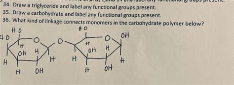 Solved 34 Draw A Triglyceride And Label Any Functional