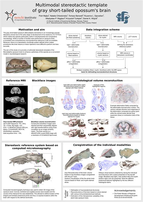 Digital Including Three Dimensional Brain Atlases Construction And Dissemination