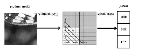 Formation Of Column Vector Download Scientific Diagram