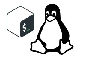 Create Your Very Own Operating System With Linux From Scratch The Tech Edvocate