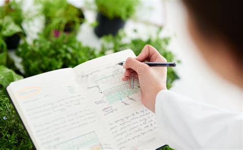 Notebook Plants And Hands Of Scientist Writing Research Info For