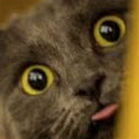 Cornflex 420 Youtube