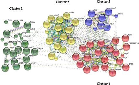 Non Overlapping Clusters Of Qtof Identified Whole Cell Proteins The