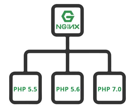 Cpanel Nginx Plugin Nginx In Cpanel Cpnginx