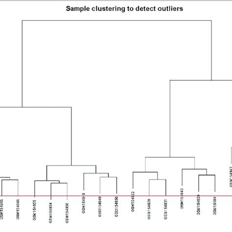 Clustering Dendrogram Of Samples Based On Their Euclidean Distance
