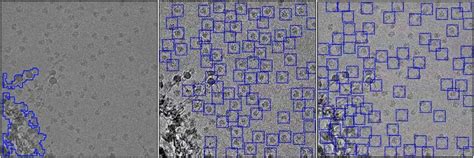 Same Experiment As In Figure 5 But For A Different Micrograph For This