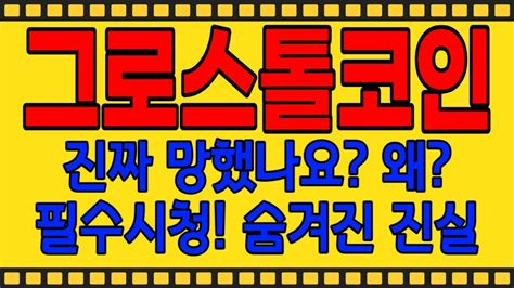 그로스톨코인 진짜 망했나요 왜 필수시청 숨겨진 진실 Youtube
