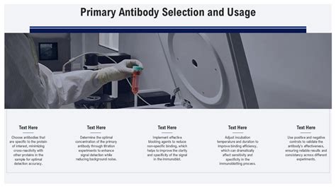 Immunoblotting Protein Detection Laboratory Technique Ppt Presentation
