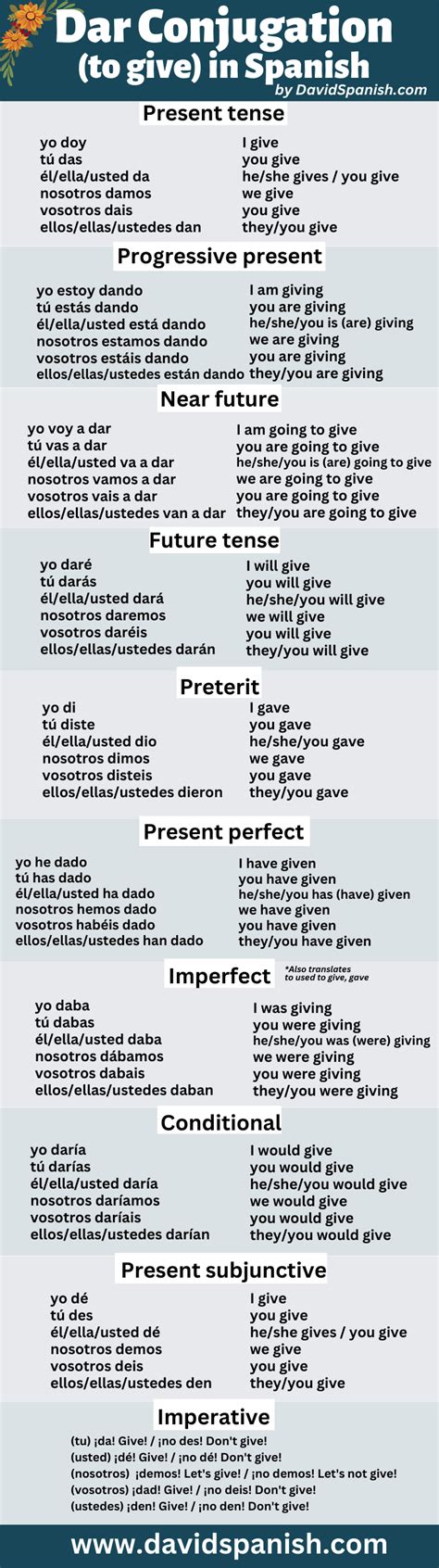 Past Tense Dar Conjugation At Roy Wall Blog