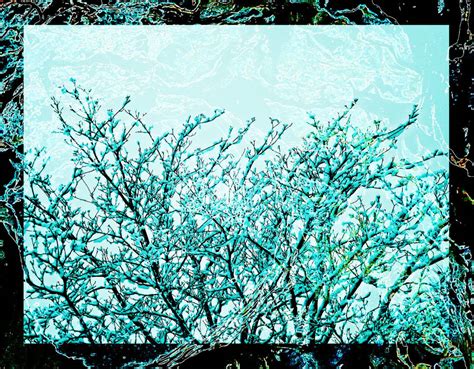 Layer Upon Layer Tree Upon Tree By Ranicat2014 On Deviantart