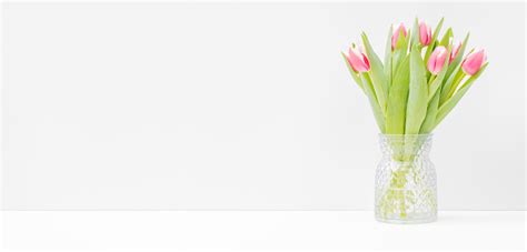 장식 요소가있는 홈 인테리어 밝은 배경에 꽃병에 핑크 튤립 0명에 대한 스톡 사진 및 기타 이미지 0명 가정의 방 결혼식 Istock