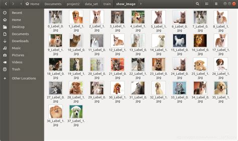 Tensorflow一训练自己的数据—制作自己的数据集tensorflow训练自己的数据集 Csdn博客