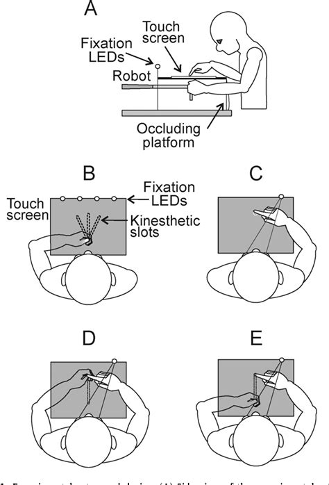 Figure 1 From Emory For Proprioceptive And Multisensory Targets Is