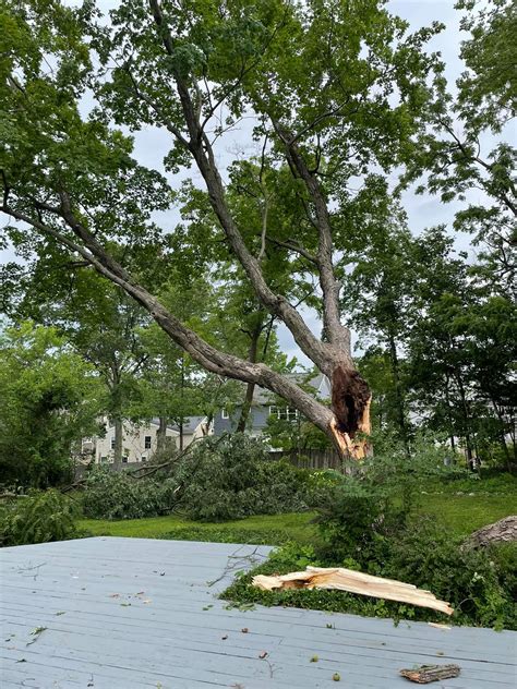A Safe Response To Tree Related Storm Damage Emergencies