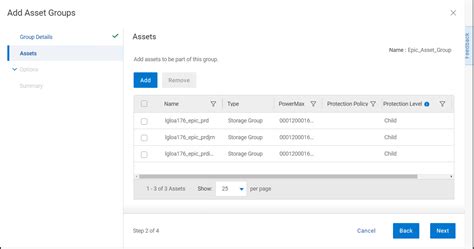 Asset Group Configuration Protecting Epic Data With Dell Powerprotect Data Manager Dell