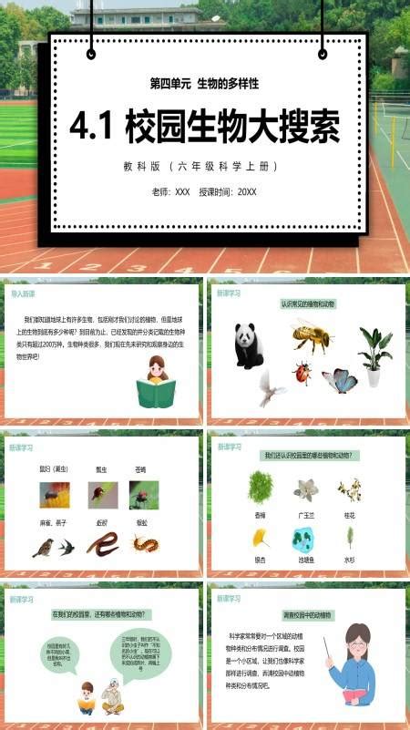 校园生物大搜索ppt 校园生物大搜索ppt模板下载 麦克ppt网