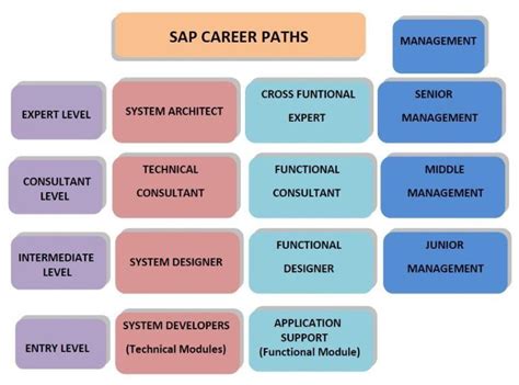 What Is Sap Fico Artofit