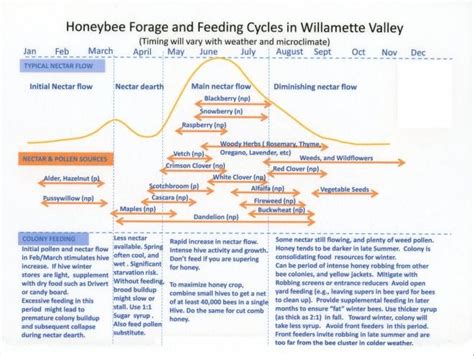 Resources On Nectar Flow Timing Beesource Beekeeping Forums