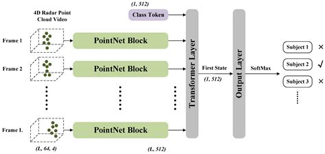 A Novel SpatialTemporal Network For Gait Recognition Using Millimeter Wave Radar Point Cloud Videos