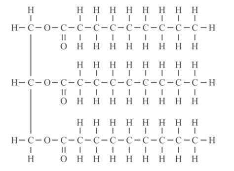 Ib Bio Kognity 2 1 Molecules To Metabolism Karteikarten Quizlet