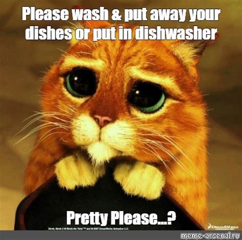 Meme Please Wash And Put Away Your Dishes Or Put In Dishwasher Pretty