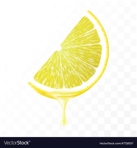 Sliced Of Lemon With Juice Dripping Isolated Vector Image