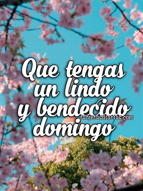 Que Tengas Un Lindo Y Bendecido Domingo Tarjetas Diarias