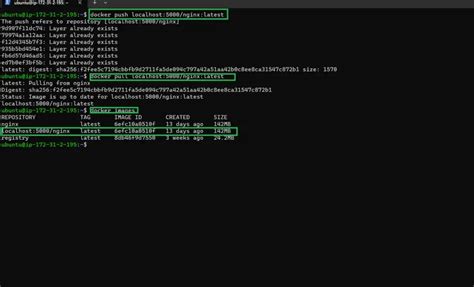 Docker Private Registries Geeksforgeeks