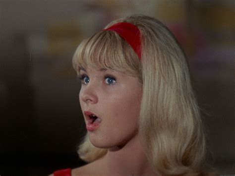 Robyn Millan Pictures Sunshine Factory Monkees Fan Site