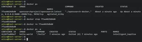 How To Install Opensearch Via Docker On Ubuntu 2204