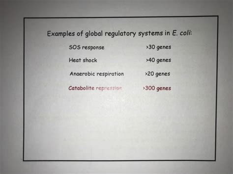 Lecture 6 Transcription Gene Expression Control Flashcards Quizlet