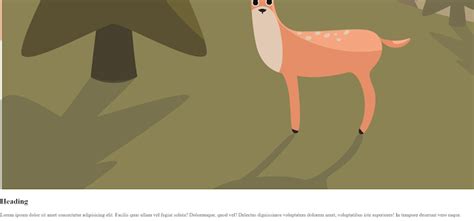 Image Hover Effect Using HTML CSS