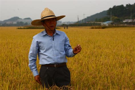 [사회과학] 『진보의 미래』 ─ 노무현의 숲 네이버 블로그