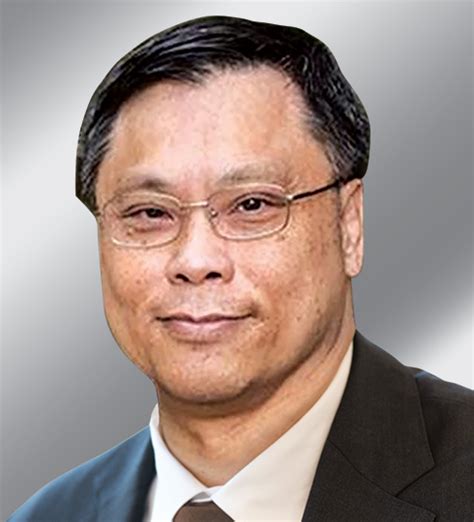 Opaa Members Profiles Prof Edman Tsang Shik Chi