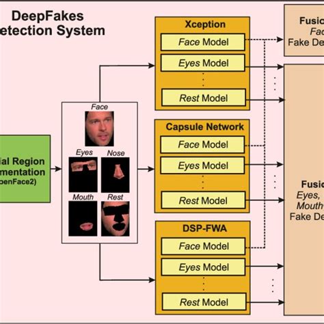 Architecture Of Our Proposed Framework To Analyse I Fake Detection