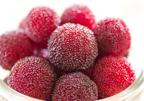 山芋のカロリー・栄養成分表 フロムフード