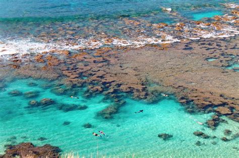Hanauma Bay Snorkel Rental At Bruce Green Blog