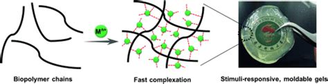 Multistimuli‐responsive Moldable Supramolecular Hydrogels Cross‐linked