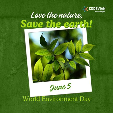 Codevian Technologies Pvt Ltd Pune