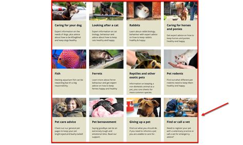 ️ 10 Best Practices To Create A Content Cluster Strategy