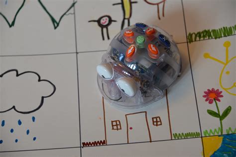 Make Your Own Bee Bot Map