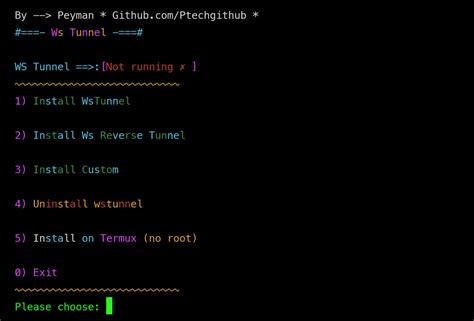 GitHub Work On Code Wstunnel Script Tunnel All Your Traffic Over Websocket Protocol Bypass
