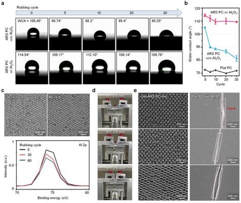 Biomimetics Special Issue Advanced Biologically Inspired Vision And
