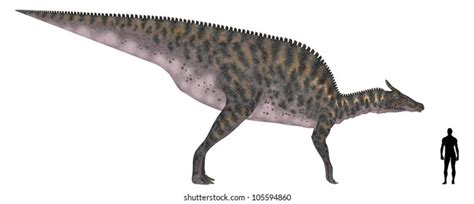 41 Imágenes De Hadrosauridae Imágenes Fotos Y Vectores De Stock