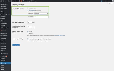 Dashboard Not Looking Like Demo • Themosaurus Support